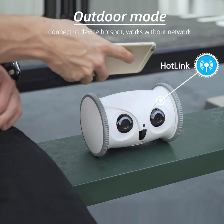 Blinky Bot Oracle - Home Robot Camera