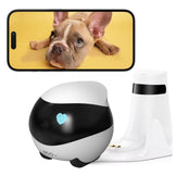 Blinky Bot™ Expert