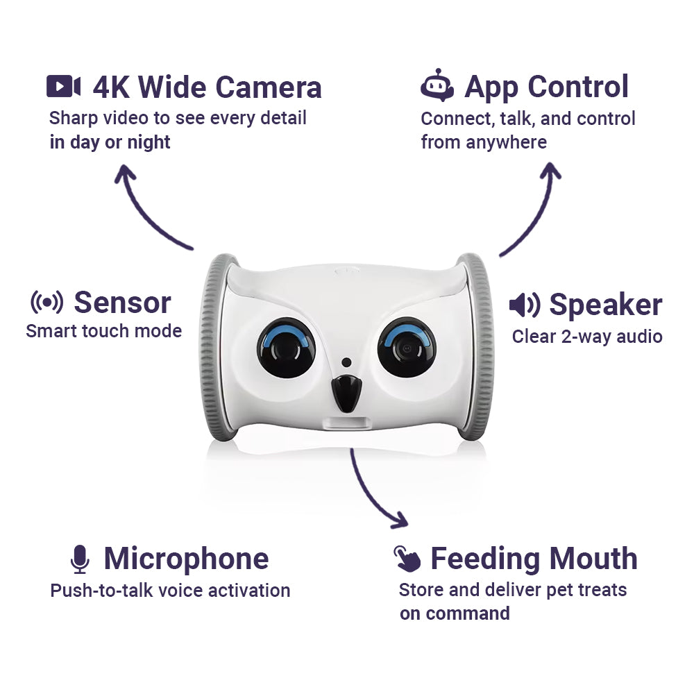 Blinky Bot Oracle - Home Robot Camera
