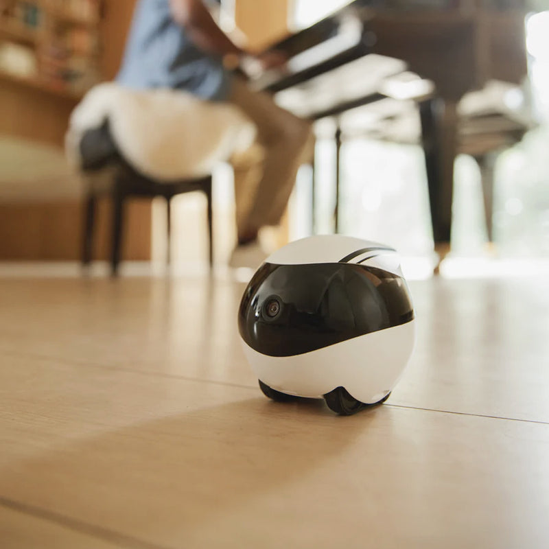 Blinky Bot™ Expert